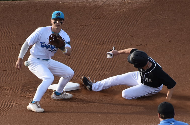 Tarp Skunks Knock Off Muckdogs | News, Sports, Jobs - Post Journal